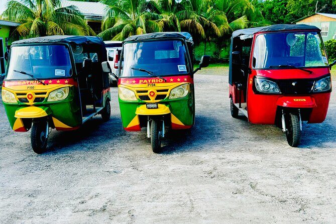 Ryde Tuk Tuk Eco and History Tour in St David Grenada - What We Think About the Experience