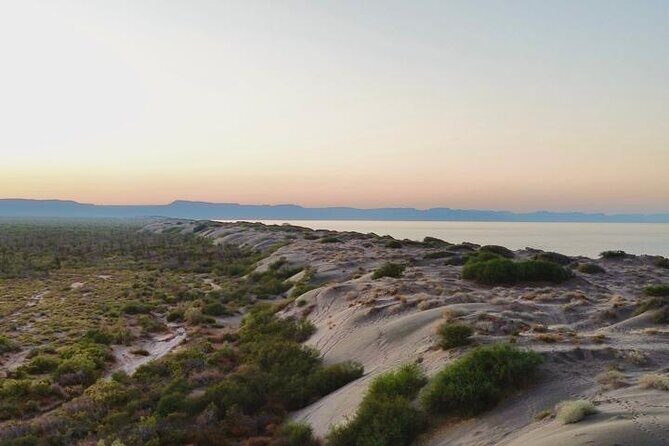 RZR Tour of Mogote Dunes and Sandboarding - An In-Depth Look at the RZR Tour of Mogote Dunes and Sandboarding