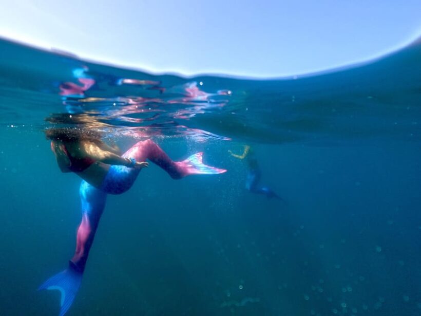 S. Miguel: Mermaid Experience in Azores - Key Points