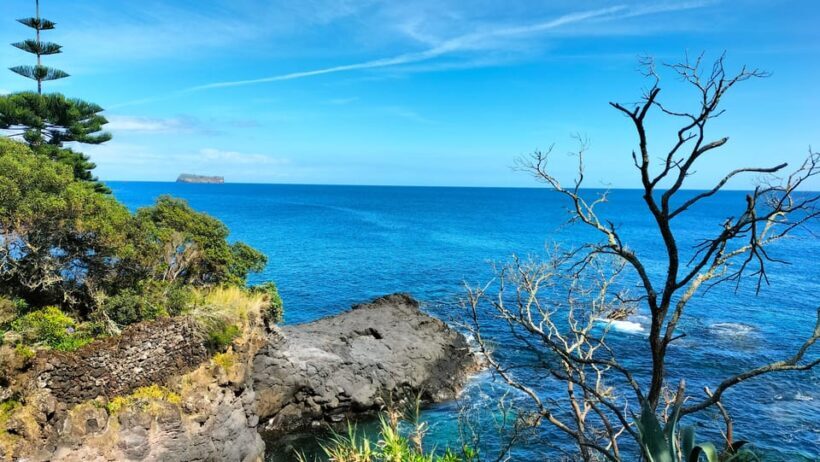 S. Miguel: Snorkeling adventure in Caloura - Key Points
