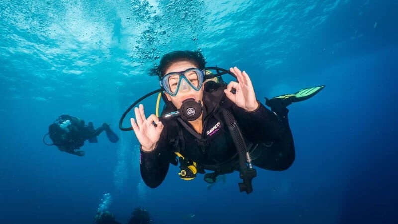 S. Tenerife: Exciting Boat Dive for Beginners to Turtle Bay - What to Expect from the Tenerife Diving Experience