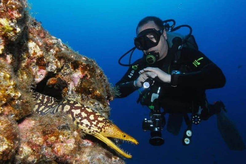 S Tenerife: Guided Boat Dive for Qualified Divers - Why Choose This Tour?