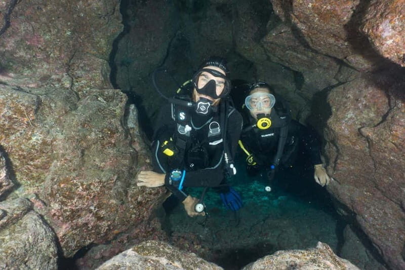 S Tenerife: Guided Boat Dive for Qualified Divers - Practical Considerations