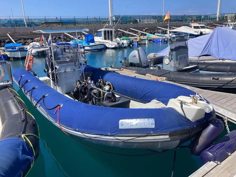 S Tenerife: Guided Boat Dive for Qualified Divers - Who Should Book This Tour?