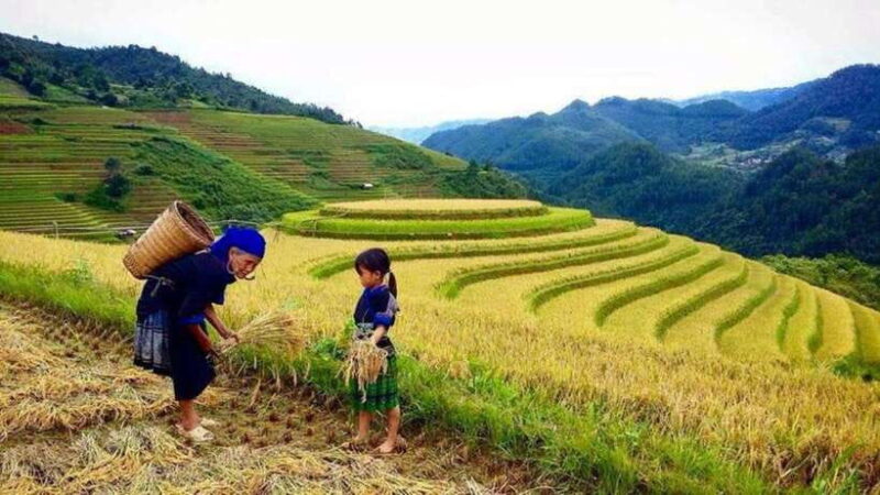 Sa Pa: 2-Day Trekking Tour with Ethnic Minority Homestay - What Travelers Say
