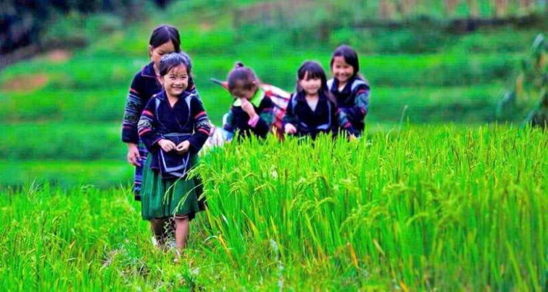 Sa Pa: 2-Day Trekking Tour with Ethnic Minority Homestay - Why Choose This Tour?