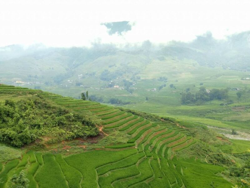 Sa Pa: 2-Day Trekking Trip with Ethnic Minority Homestay - The Sum Up: Who Is This Tour Best For?