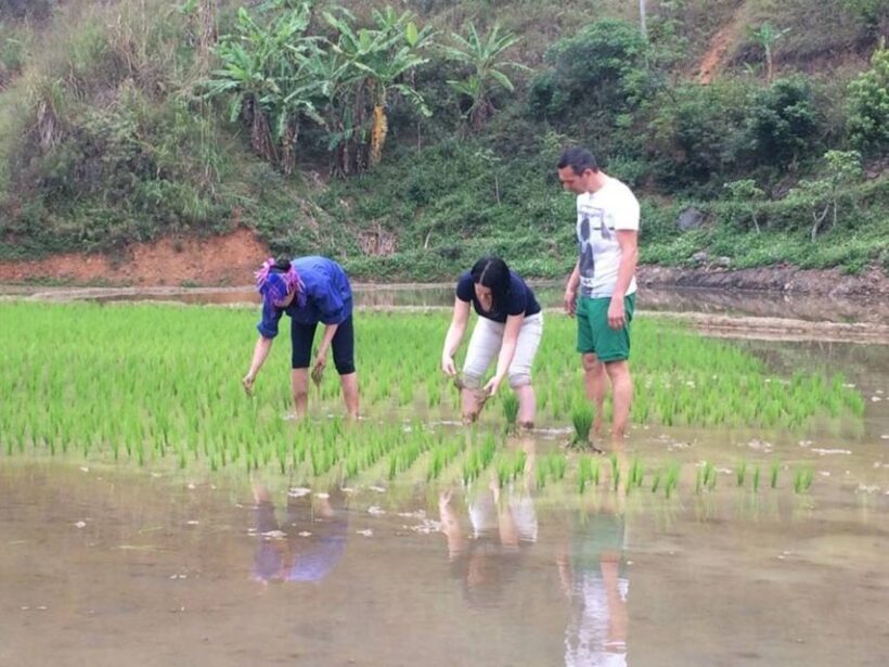 Sa Pa: 6-Hours Muong Hoa Valley Trek with Local Ethnic guide - Key Points