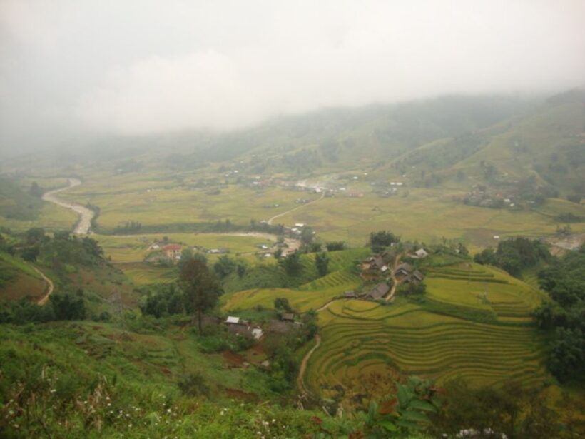 Sa Pa: 6-Hours Muong Hoa Valley Trek with Local Ethnic guide - Who Should Consider This Tour?