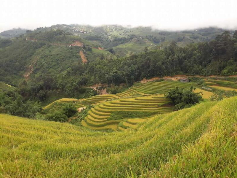 Sa Pa: Muong Hoa Valley Trek and Local Ethnic Villages - Who Would Love This Tour?