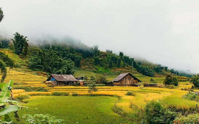 Sa Pa: Muong Hoa Valley Trek and Local Ethnic Villages - FAQ Section