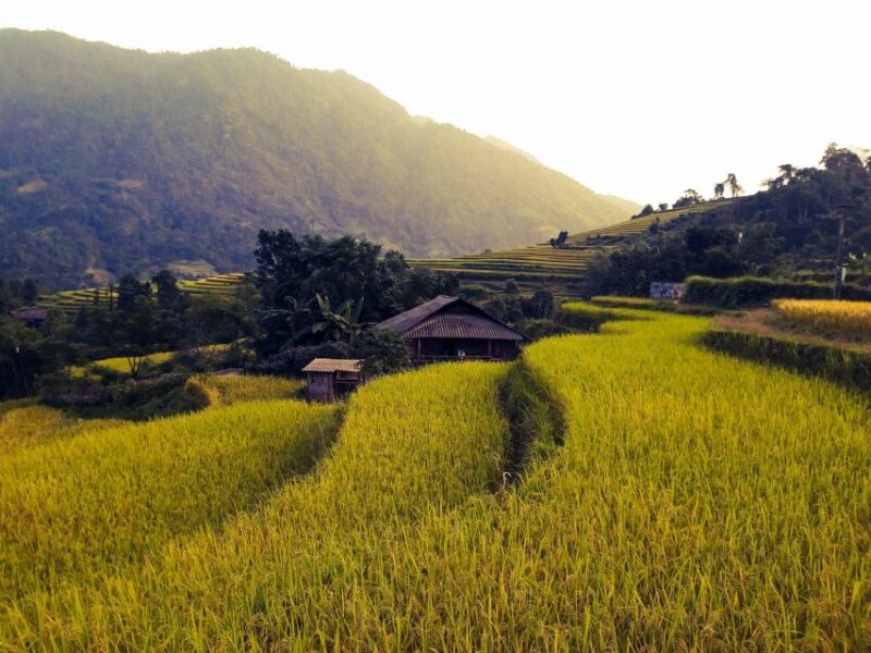 Sa Pa: Muong Hoa Valley Trek and Local Ethnic Villages - Final Summary