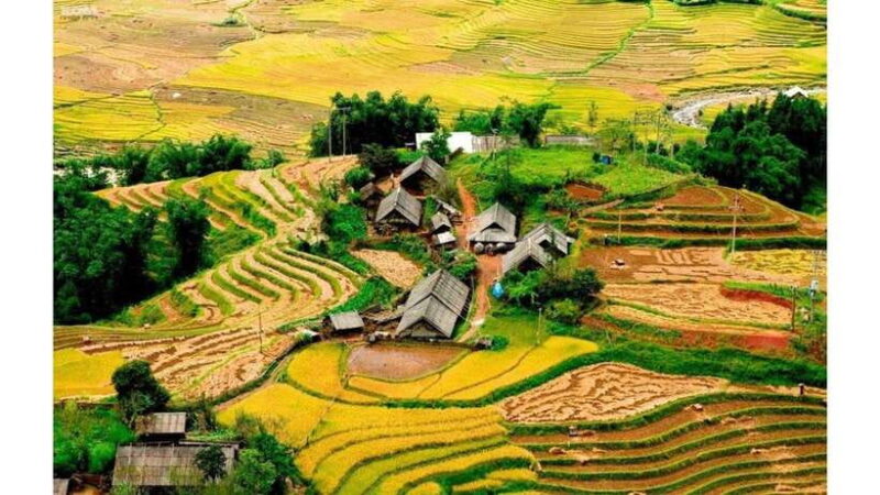 Sa Pa: Muong Hoa Valley Trek & Ethnic Villages Tour - A Detailed Look at the Muong Hoa Valley Trek
