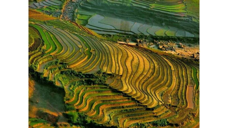 Sa Pa: Muong Hoa Valley Trek & Ethnic Villages Tour - The Experience Provider: GUU TRAVEL