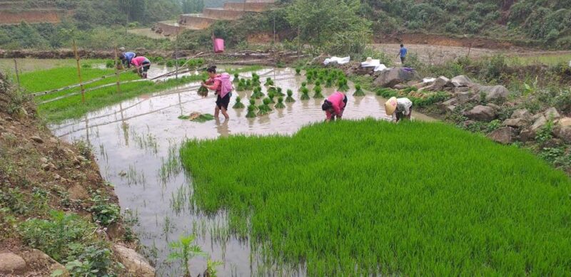 Sa Pa: Private Guided Tour on a Motorbike with Lunch - Final Thoughts