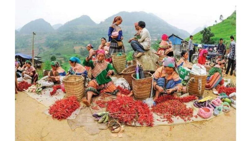 Sa Pa: Sunday Bac Ha Market Group Tour - Key Points