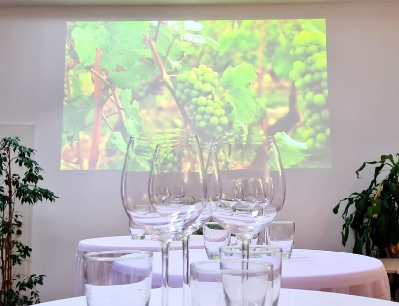 Saarbrücken: Organic wine tasting the precious way - A Closer Look at the Organic Wine Tasting Experience in Saarbrücken