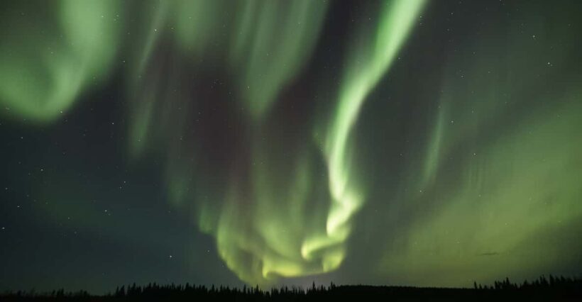 Saariselkä: Aurora Photo Tour by Car with Transfer & Drinks - A Practical Look at the Saariselkä Aurora Photo Tour by Car with Transfer & Drinks