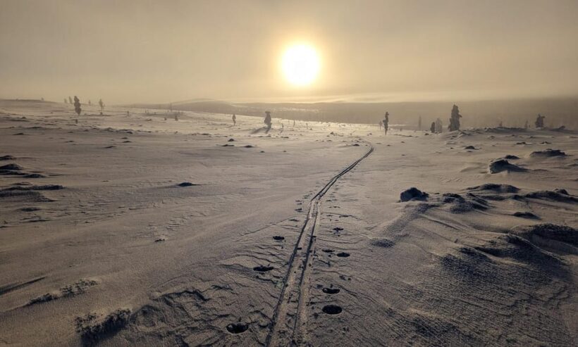Saariselkä: Back-Country Skiing Guided Tour - Itinerary Breakdown: What to Expect