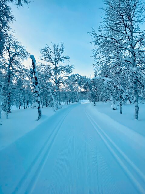Saariselkä: Cross-Country Skiing for beginners - Practical Details: Timing, Transportation, and Cost