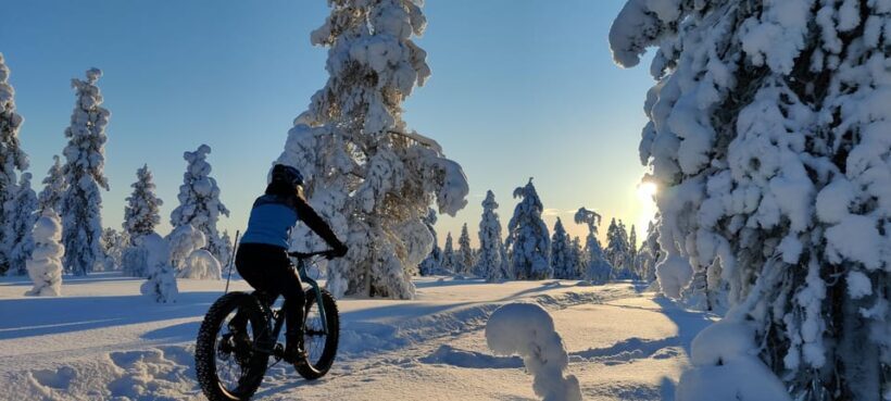 Saariselkä: Guided Fatbike Tour - An In-Depth Look at the Saariselkä Guided Fatbike Tour
