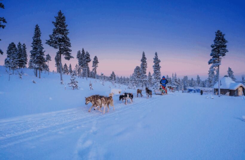 Saariselkä: Husky Safari with Aurora Borealis Hunt - The Experience in Detail: From Pickup to Aurora