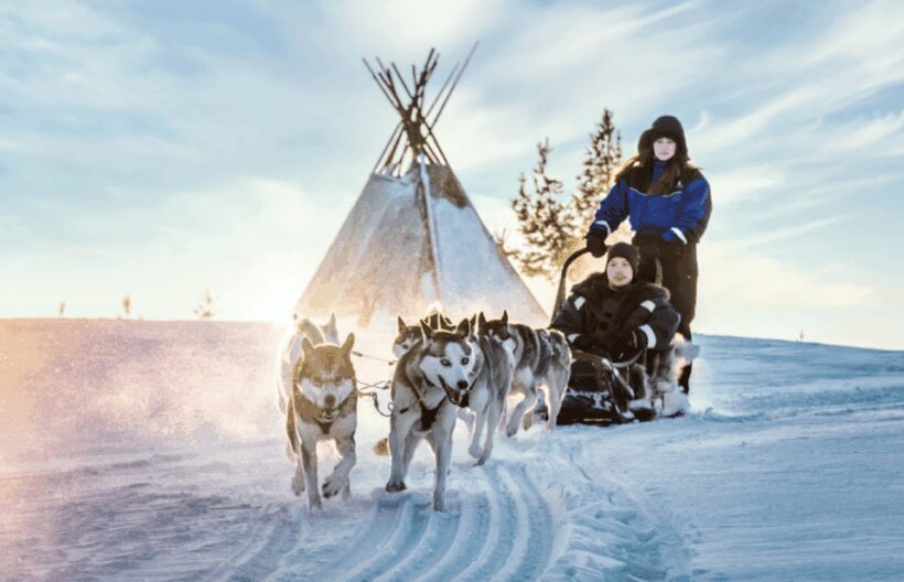 Saariselkä: Husky Safari with Aurora Borealis Hunt - Who Should Consider This Tour?
