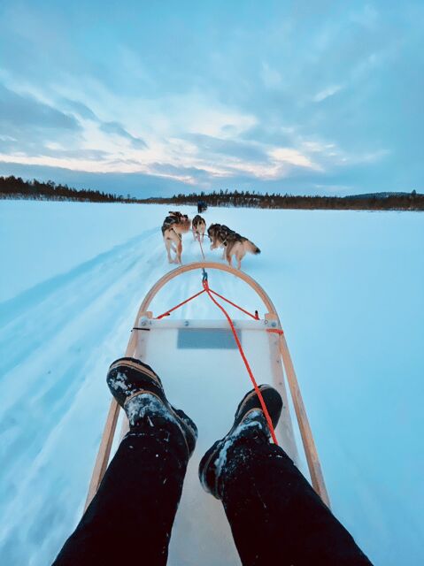 Saariselkä: Husky Safari with kennel visit - Introduction: The Charm of a Husky Safari in Lapland