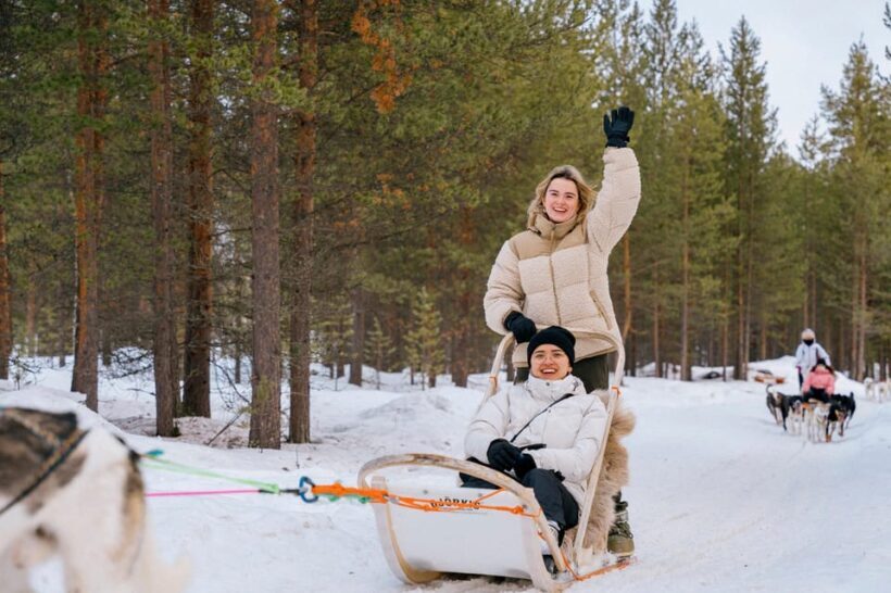 Saariselkä: Husky Safari with kennel visit - The Experience in Detail: From Snow to Stories