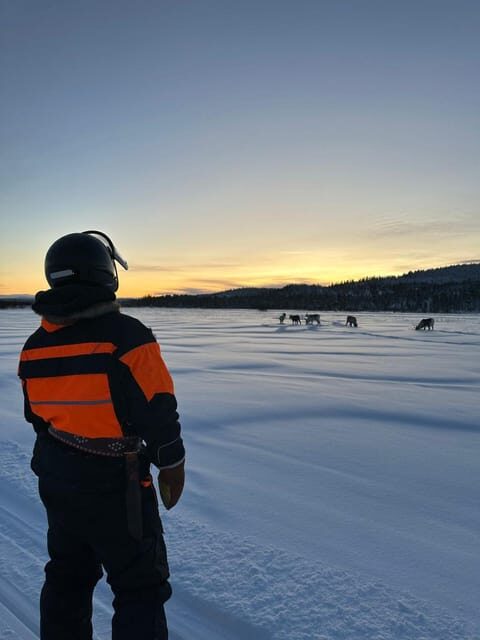 Saariselkä: Ice Fishing Tour to Lake Inari, reindeers& lunch - The Highlight: Traditional Lunch in a Lappish Teepee
