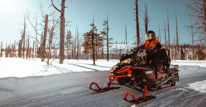 Saariselkä: Snowmobile Adventure for Adults - The Setting: Arctic Wilderness at Its Best