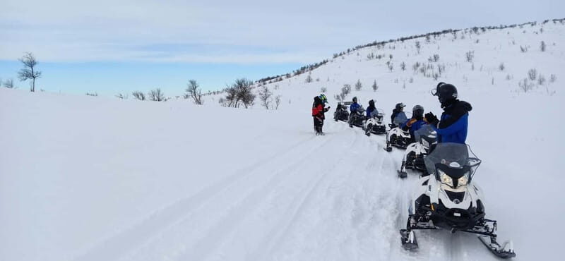 Saariselka: Snowmobile Safari on Tundra with BBQ - Who Is This Tour Best For?