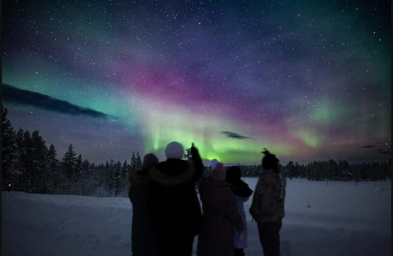 Saariselkä,Kakslauttanen: Aurora Hunting & Photography Tour. - Price and Value
