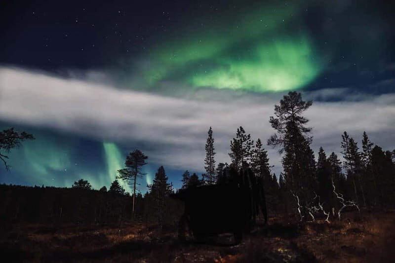 Saariselkä,Kakslauttanen: Aurora Hunting & Photography Tour. - Important Practicalities