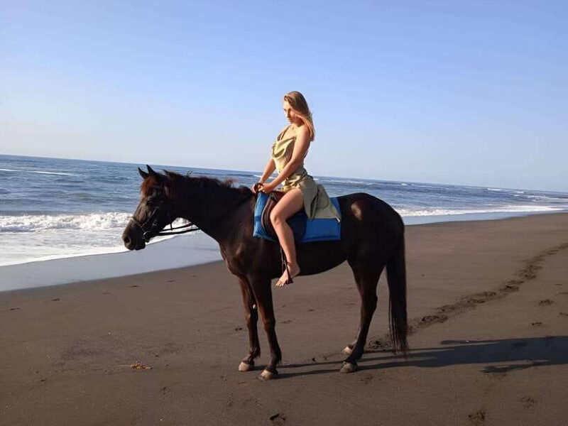 Saba Beach: Horse Riding & Turtle Release Experience - Key Points