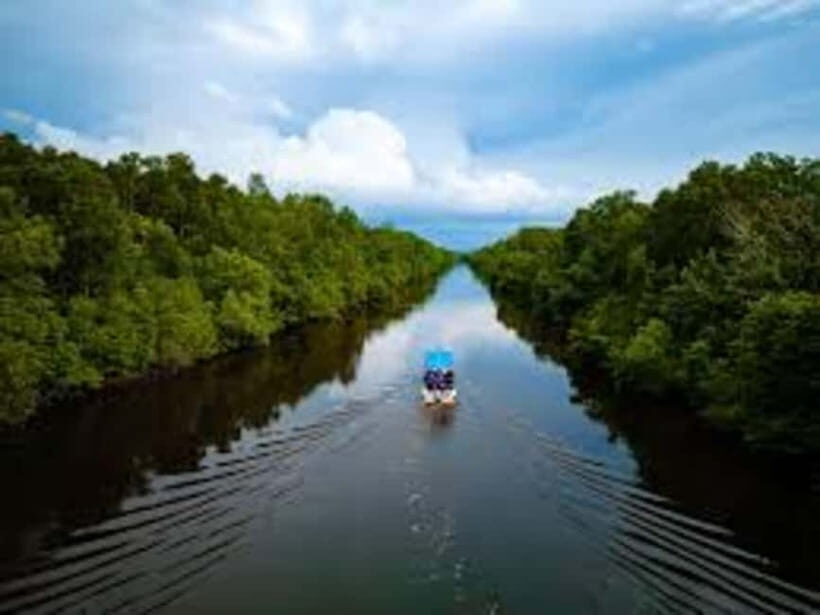 Sabah: Kawa Kawa Private River Cruise w/ Monkeys & Fireflies - Key Points