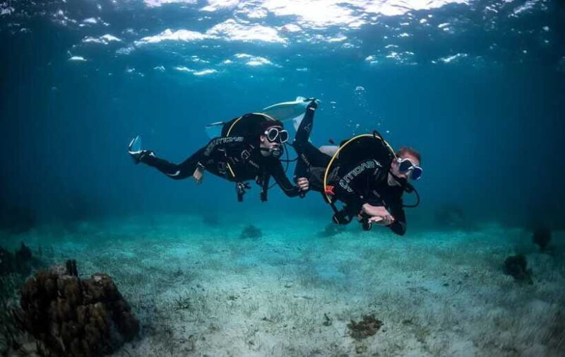 Sabah : Mamutik & Sapi Island Excursion Ticket - The Sum Up