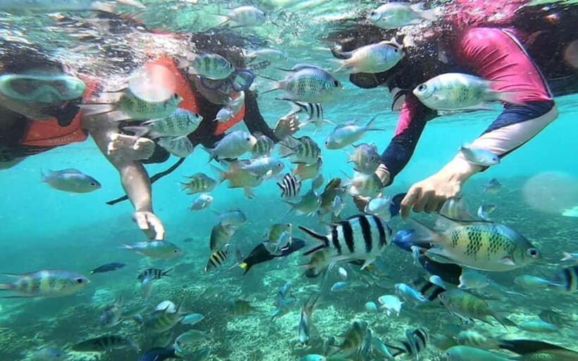 Sabah: Mantanani Island Day Tour with Lunch - Discovering Mantanani Islands: A Tropical Getaway
