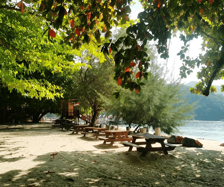 Sabah: Manukan and Sapi Islands Excursion Ticket - Who Will Love This Tour?