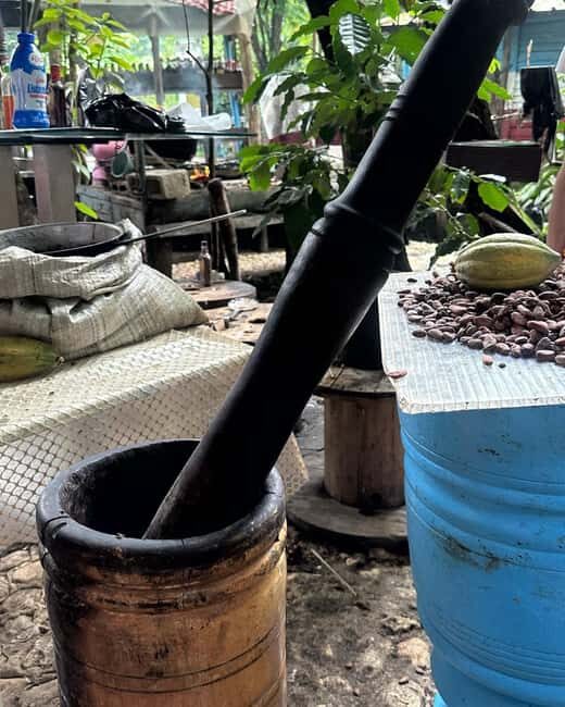 Sabana de la Mar: Yanigua Waterfalls Tour with Lunch - FAQ