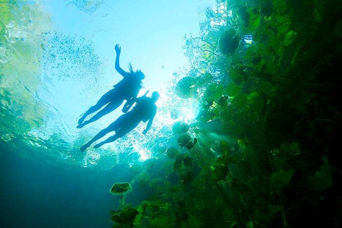 Sacred Adventure at Xenotes! 4 Different Cenotes + Round Transportation - Key Points