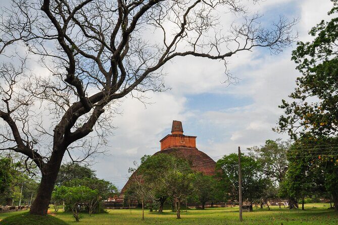 Sacred City of Anuradhapura from Colombo - Ruwanwelisaya: The Magnificent Stupa