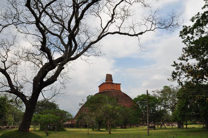 Sacred City of Anuradhapura from Negombo - Practical Considerations