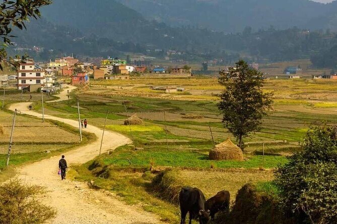 Sacred Footsteps: The Namobuddha-Panauti Day Hike Experience - Who Is This Tour Best For?