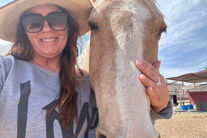 Sacred Horse Medicine Journey near Sedona - Exploring the Sacred Horse Medicine Journey near Sedona