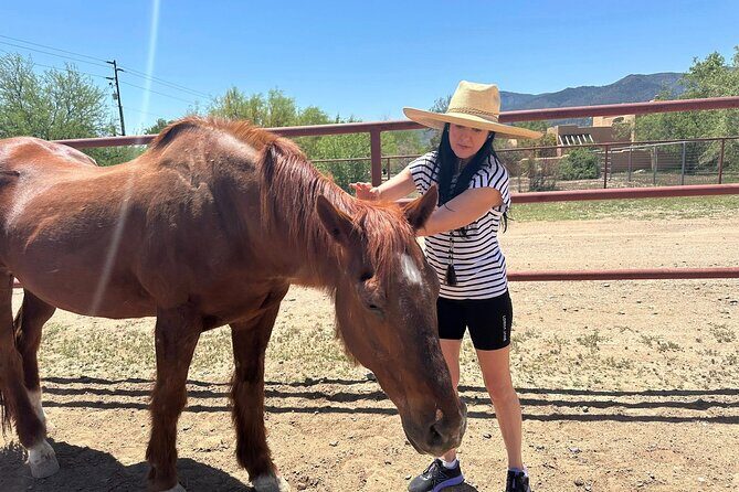 Sacred Horse Medicine Journey near Sedona - The Power of Horses and Energy Healing