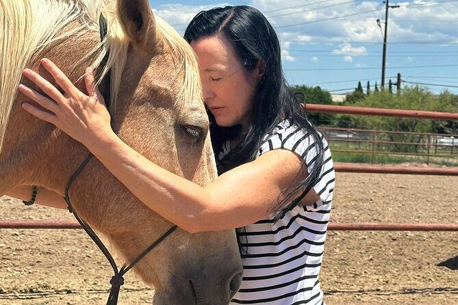 Sacred Horse Medicine Journey near Sedona - Pricing and Value