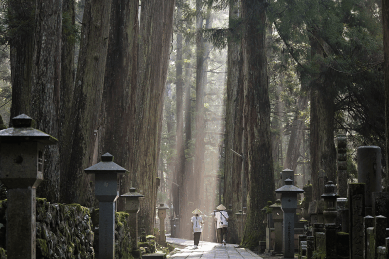 Sacred Koyasan: Meditation in Sanctuary to Purification - Embracing the Purification Experience