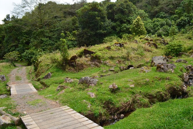 Sacred Mountain Nature Reserve - Key Points