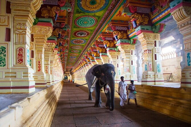 Sacred Rameshwaram: A Pilgrimage Day Tour from Madurai - A Practical Guide to the Rameshwaram Day Tour from Madurai